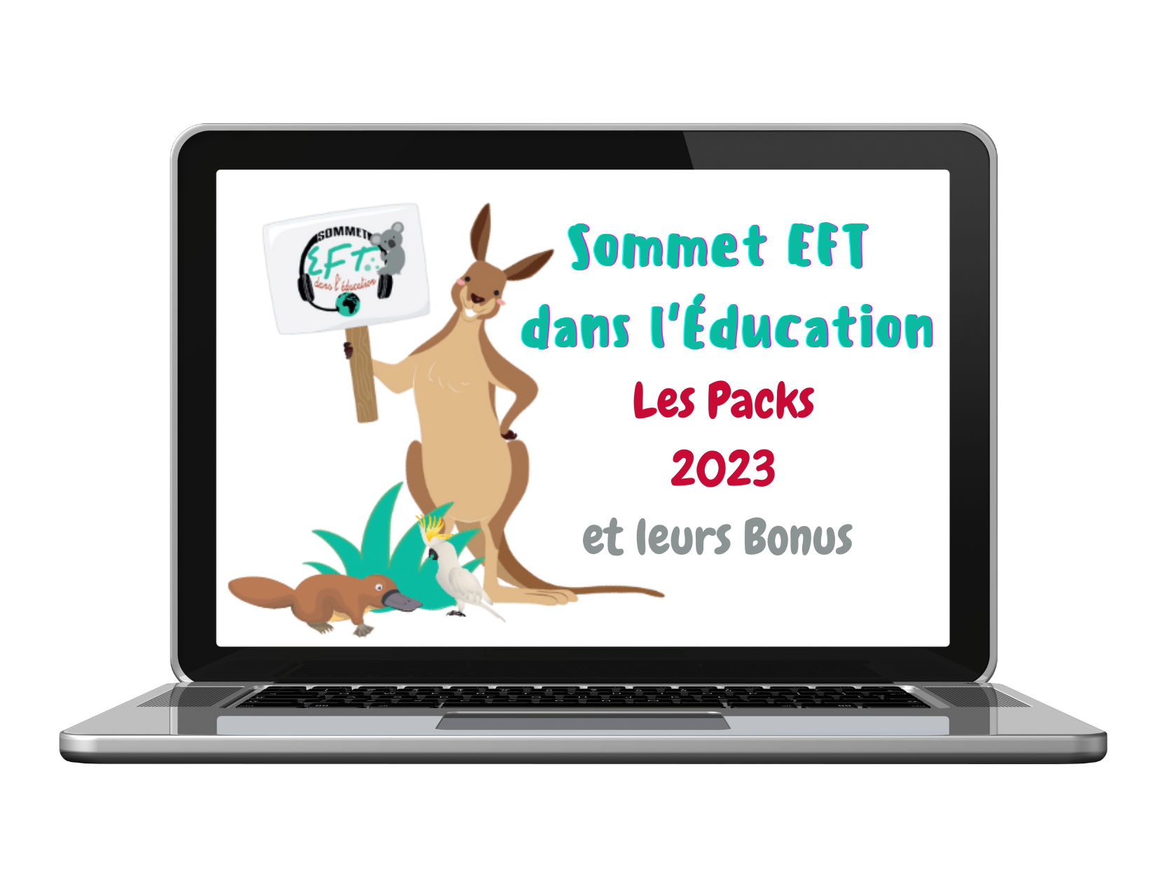 Kit initiation EFT + Carnet Sommet 2023