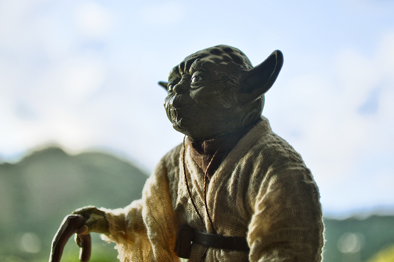 5 CONSEILS DE MAÎTRE YODA