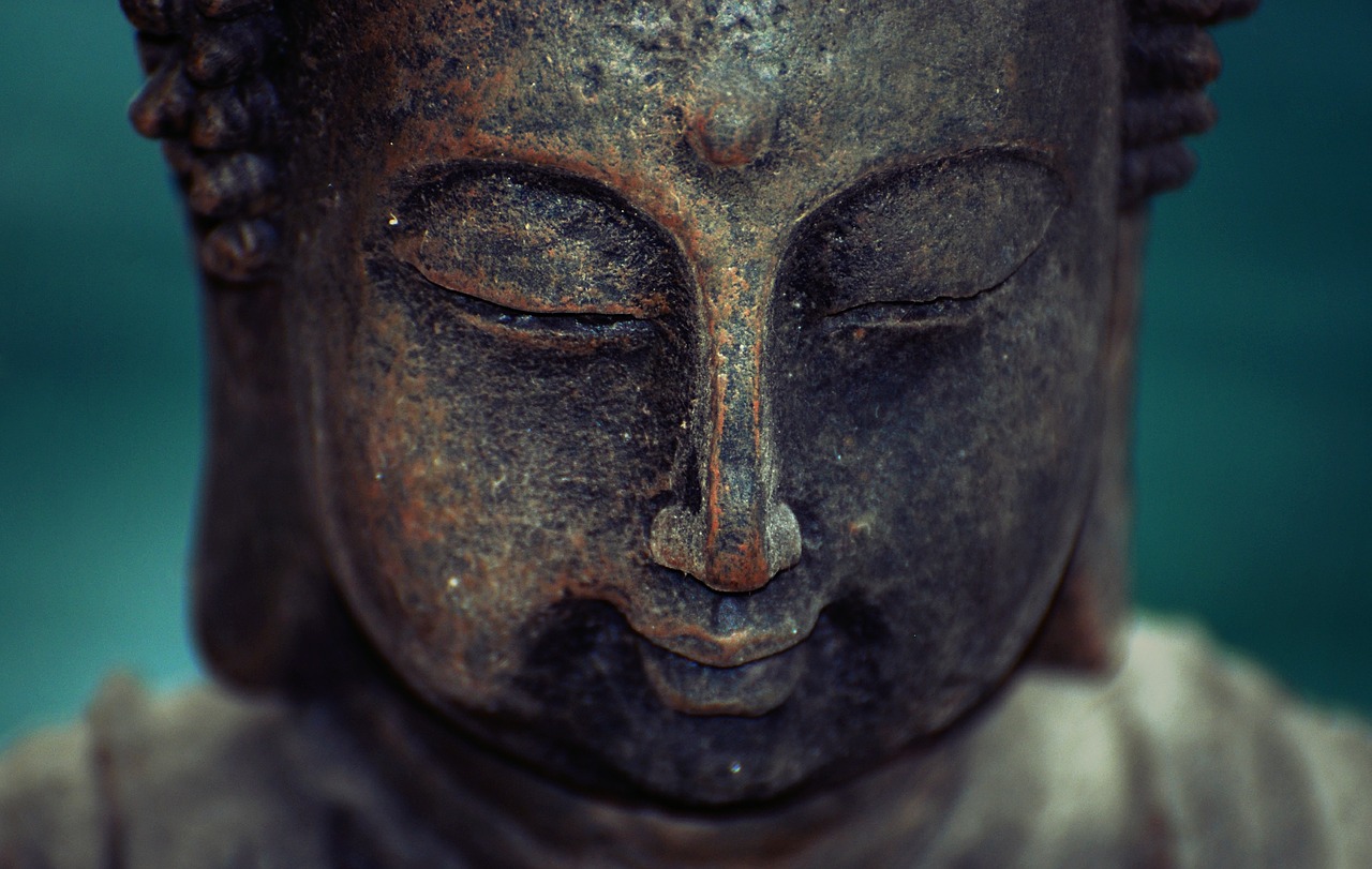 5 LECONS DE BOUDDHA