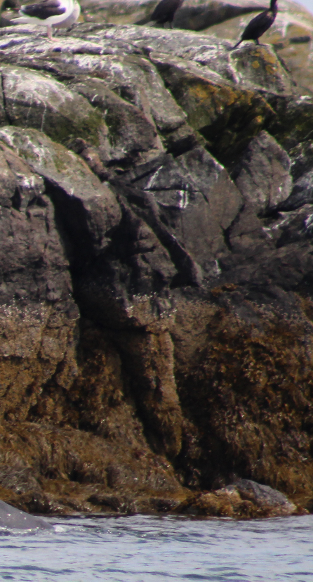 Dessin et peinture - vidéo 2853 : Comment peindre un bloc de roche ...